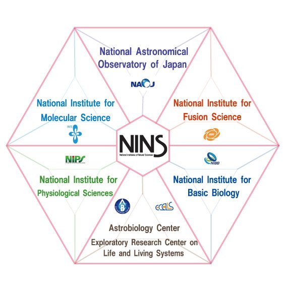 National Institutes of Natural Sciences(NINS) Website